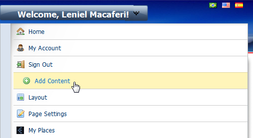 Leniel Maccaferri S Blog Adding Or Removing Liferay Portlets